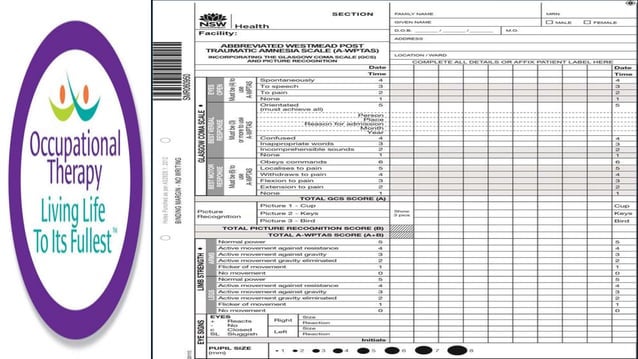 Occupational Therapy Standardized Assessment | PPTX | Death, Injury, or ...