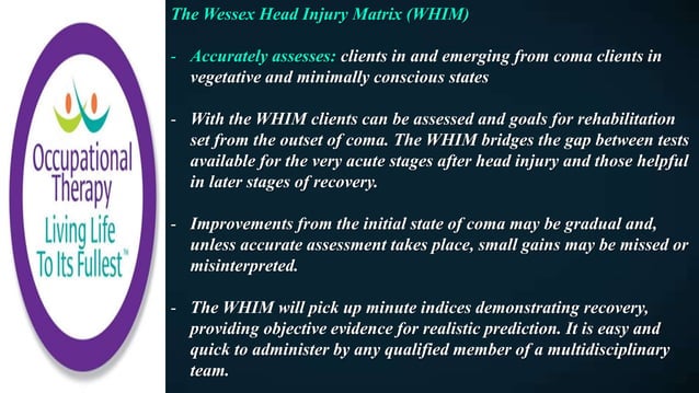 Occupational Therapy Standardized Assessment | PPTX | Death, Injury, or ...