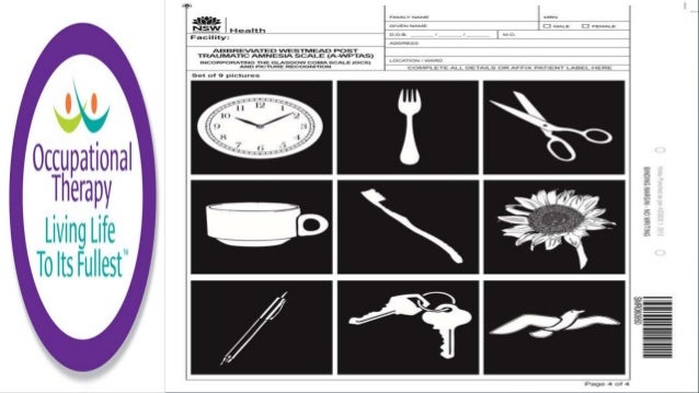 Occupational Therapy Standardized Assessment
