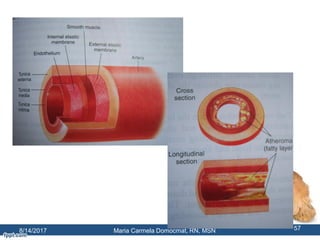 Assessment peripheral blood vessel | PPT