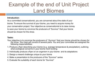 Assessment photo album | PPTX
