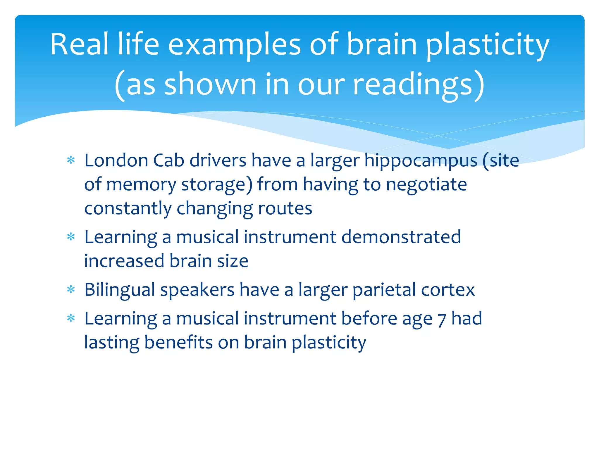 Review of brain plasticity | PDF | Brain and Nervous System Disorders ...