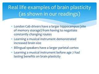 Review of brain plasticity | PDF | Brain and Nervous System Disorders ...