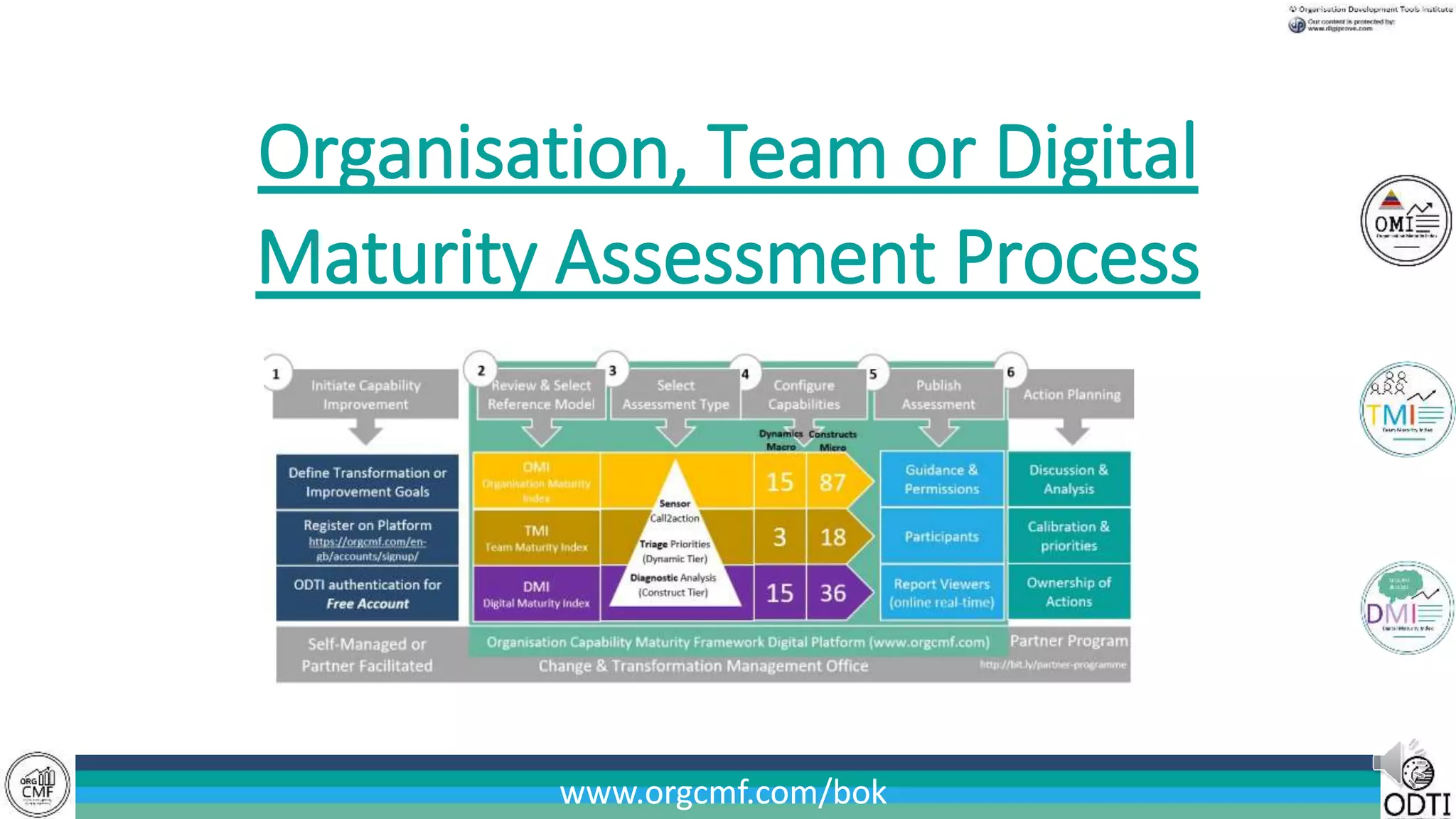 Organisation, Team & Digital Assessment process | PPTX