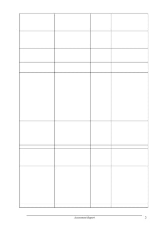 Assessment report template | PDF
