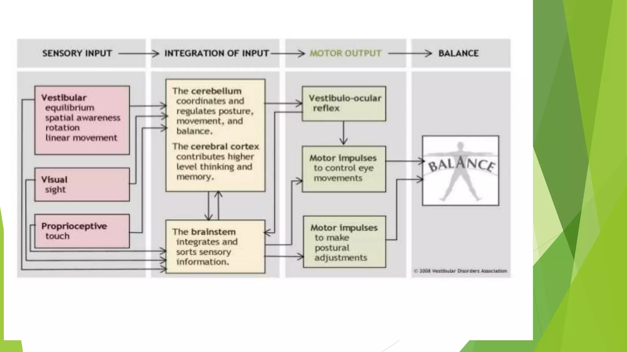 Assessment of vestibular system | PPTX