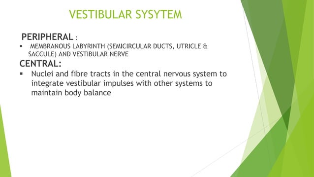 Assessment of vestibular system | PPT