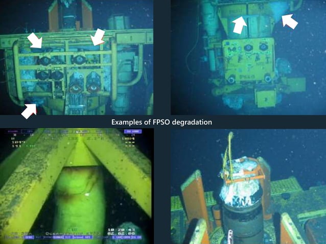 Asset Integrity Management for purpose-built FPSOs and subsea system ...