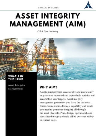 Asset Integrity Management | Arrelic Insights | PDF