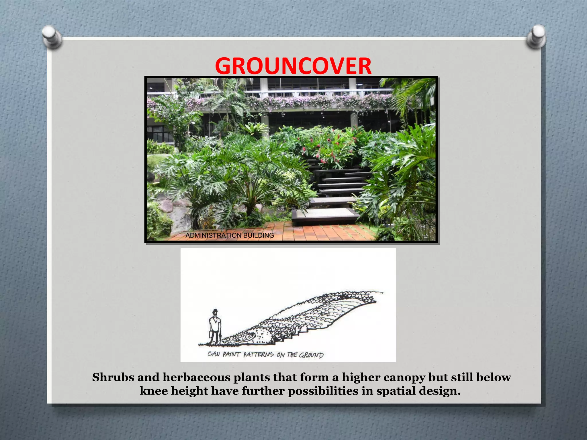 lecture 4 : types of planting design | PPT