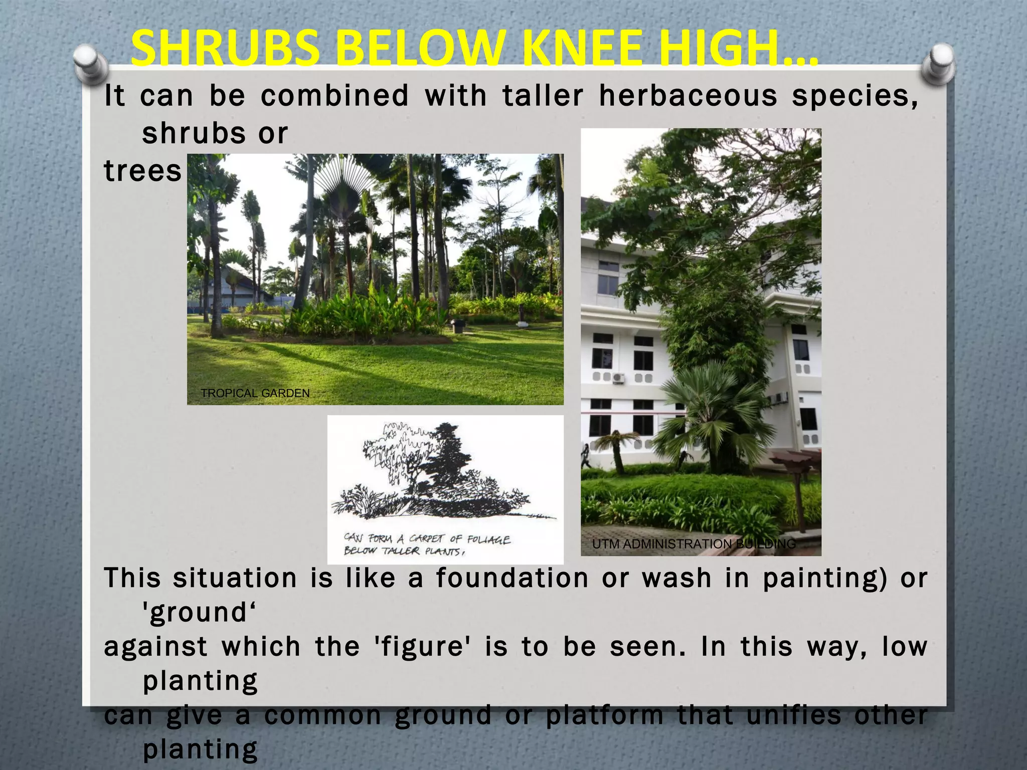 lecture 4 : types of planting design | PPT