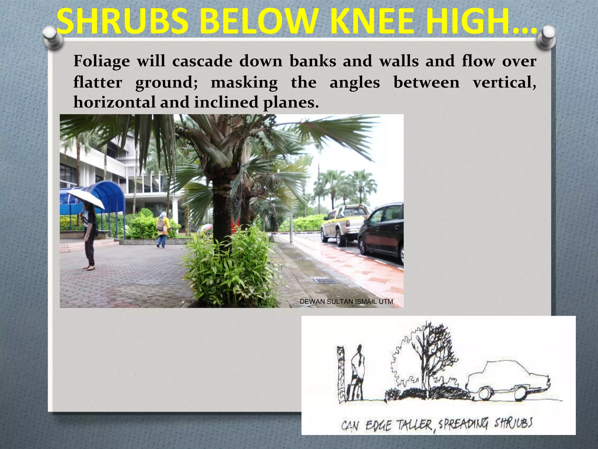 lecture 4 : types of planting design | PPT | Gardening | Home & Garden