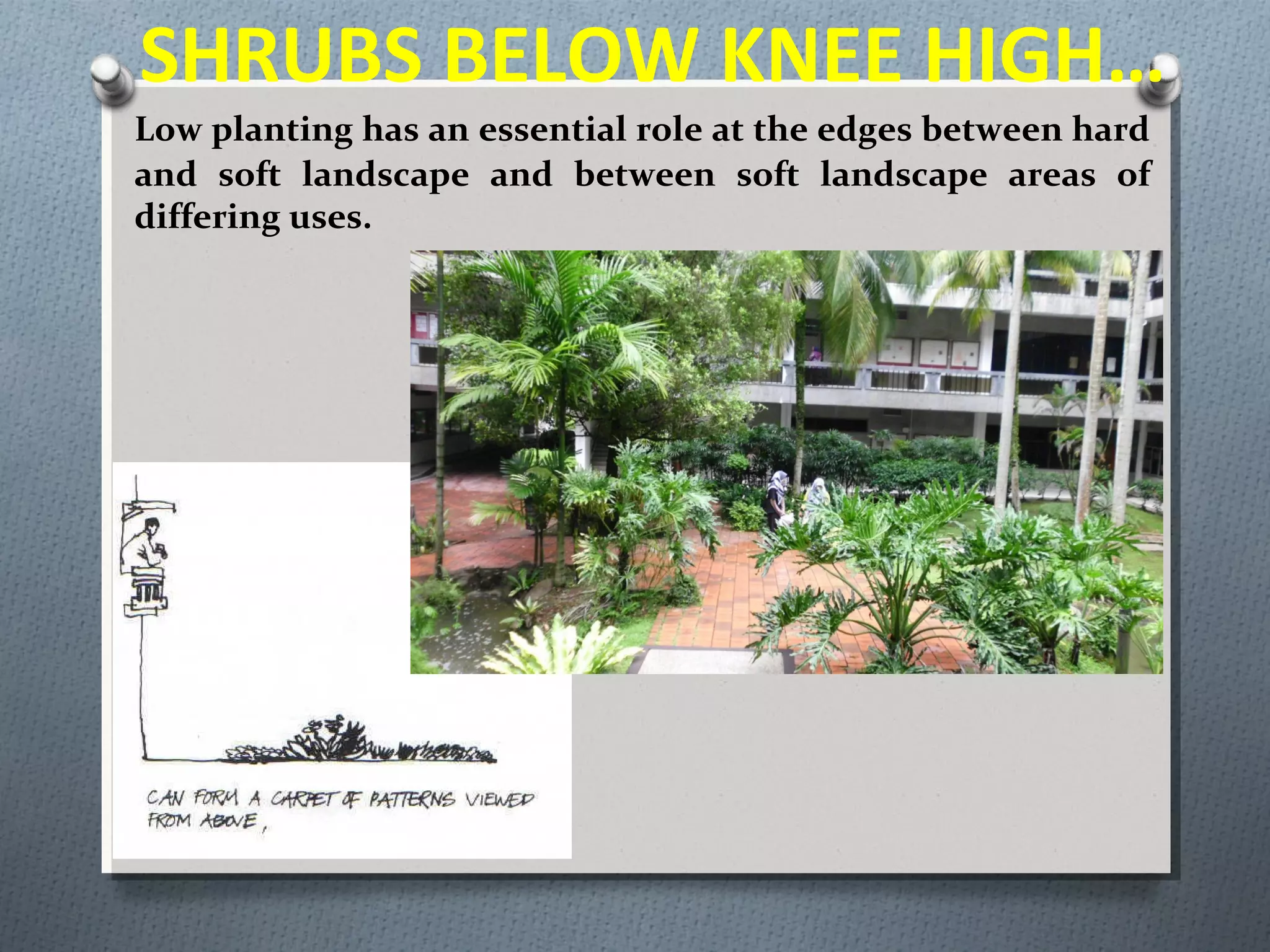 lecture 4 : types of planting design | PPT | Gardening | Home & Garden