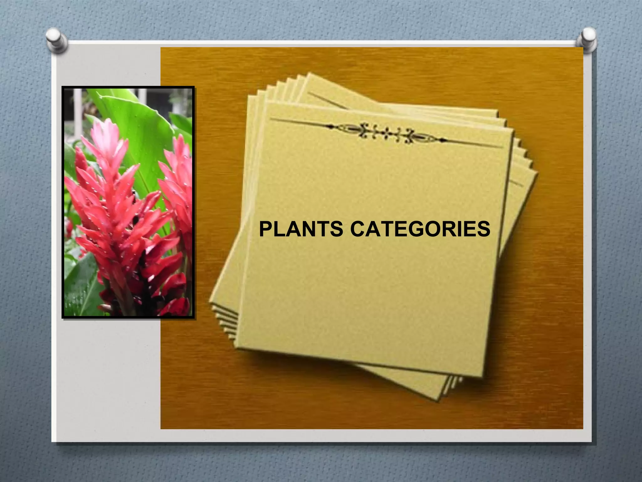 lecture 4 : types of planting design | PPT