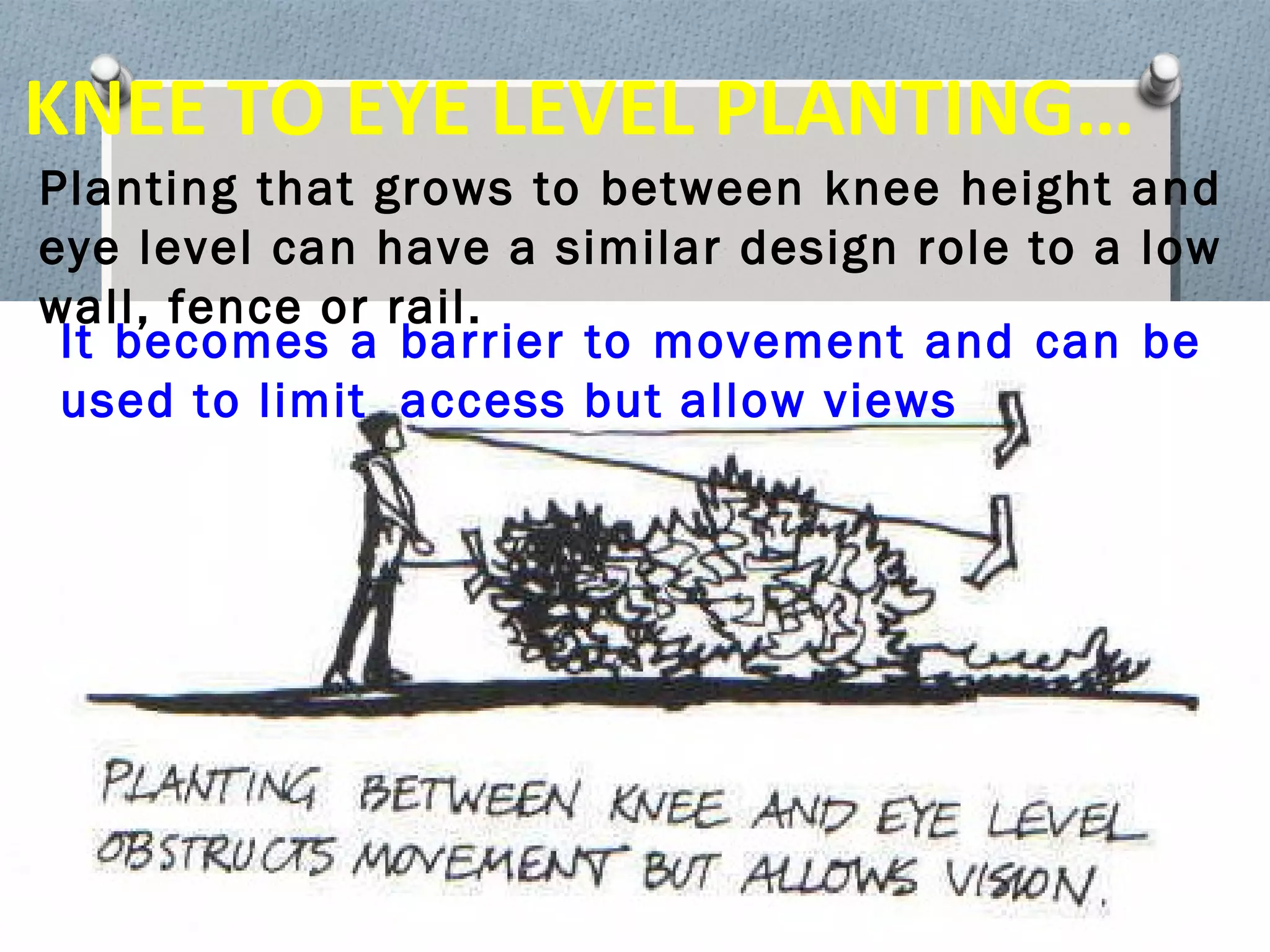 lecture 4 : types of planting design | PPT