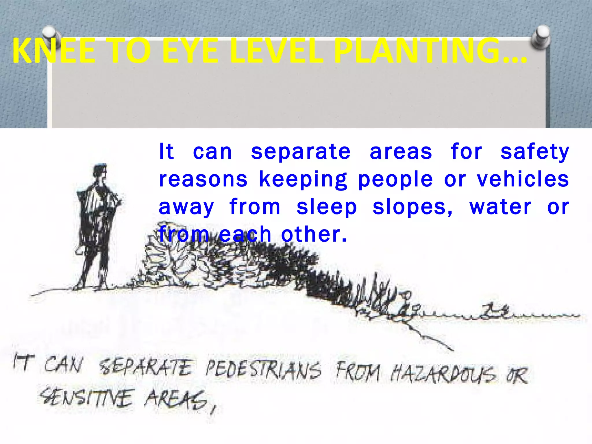 lecture 4 : types of planting design | PPT | Gardening | Home & Garden