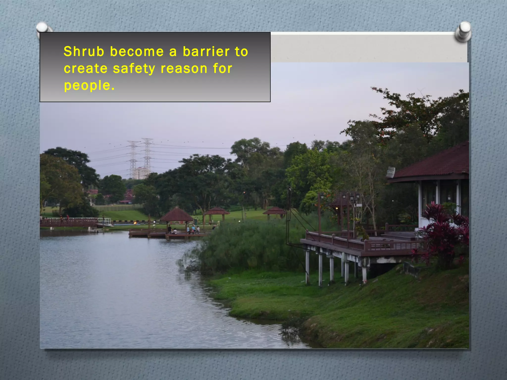 lecture 4 : types of planting design | PPT | Gardening | Home & Garden