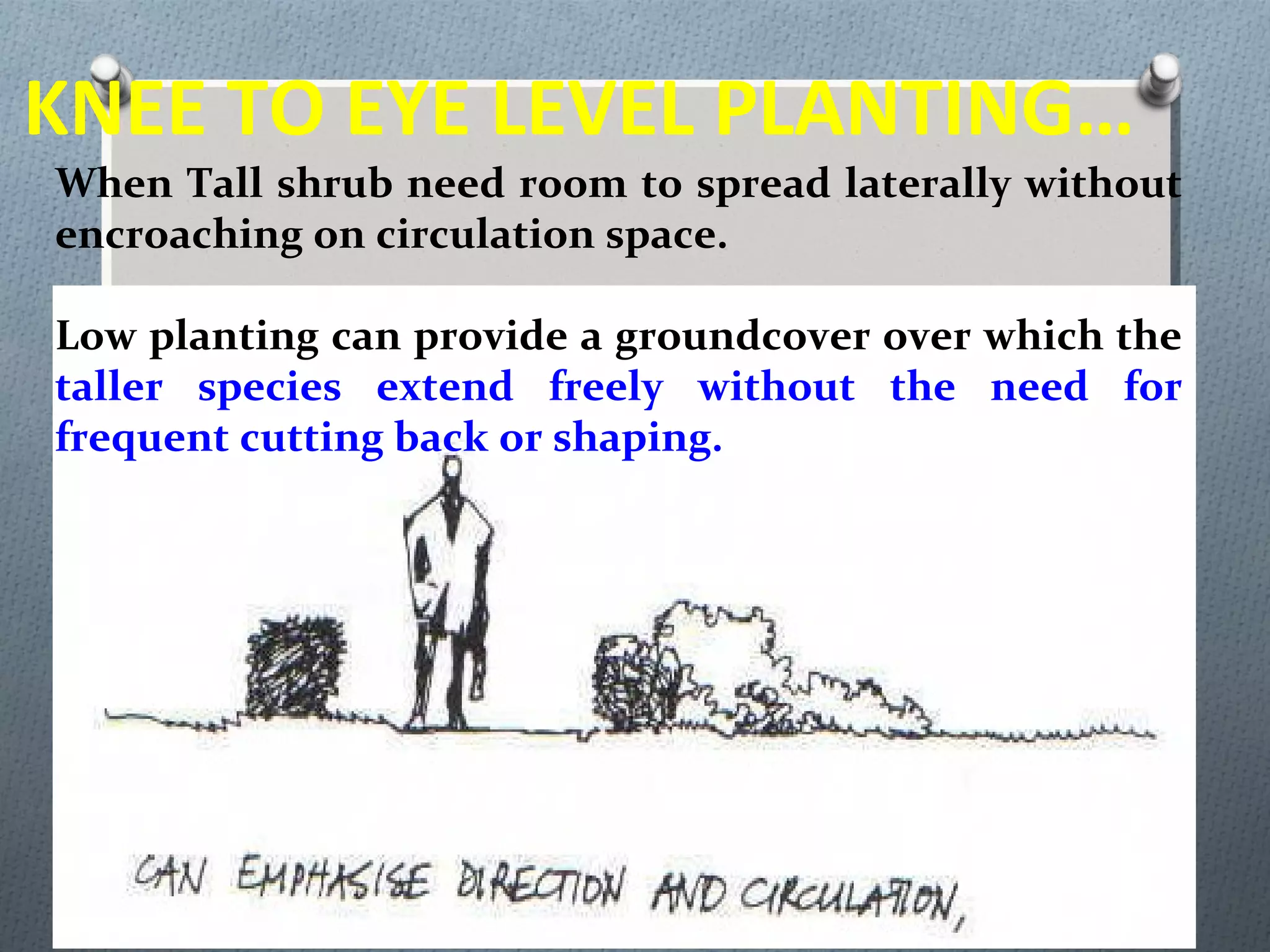 lecture 4 : types of planting design | PPT