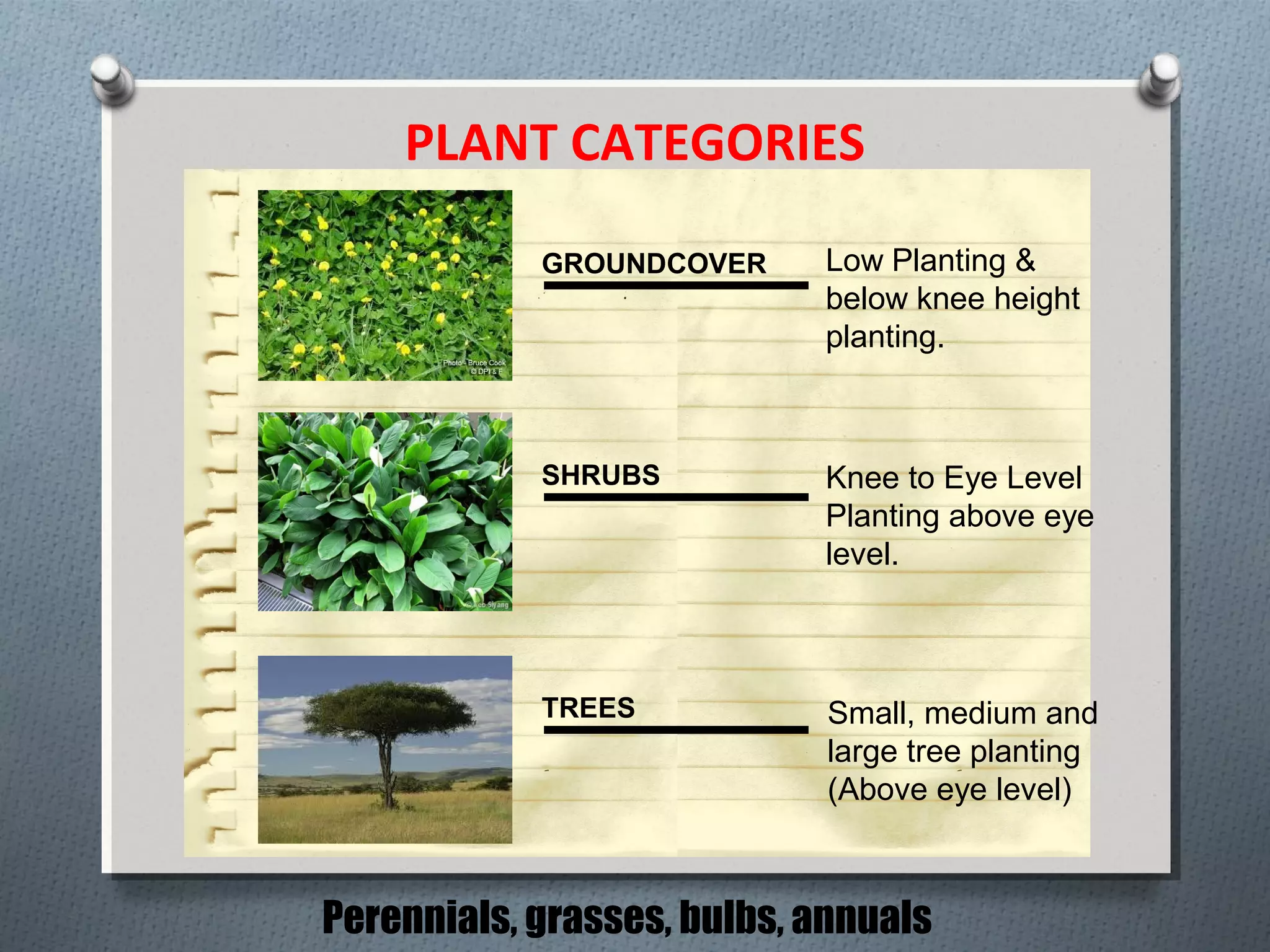 lecture 4 : types of planting design | PPT | Gardening | Home & Garden
