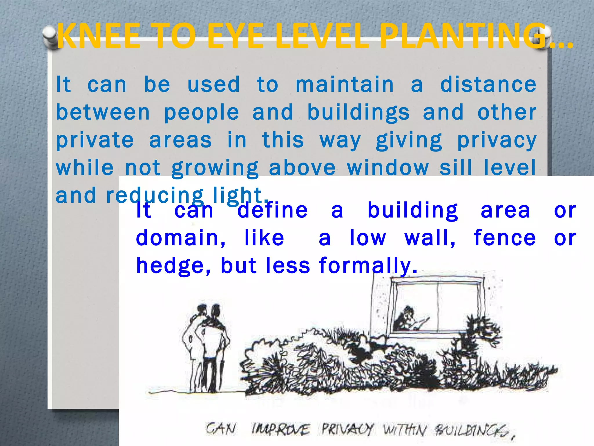 lecture 4 : types of planting design | PPT