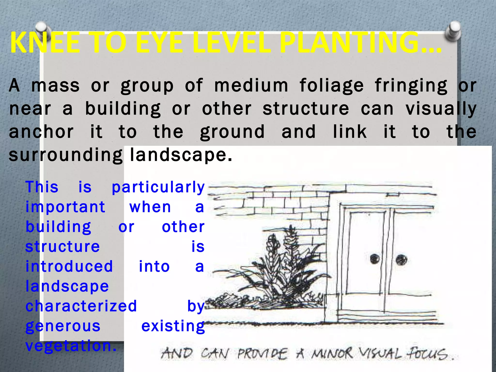 lecture 4 : types of planting design | PPT | Gardening | Home & Garden