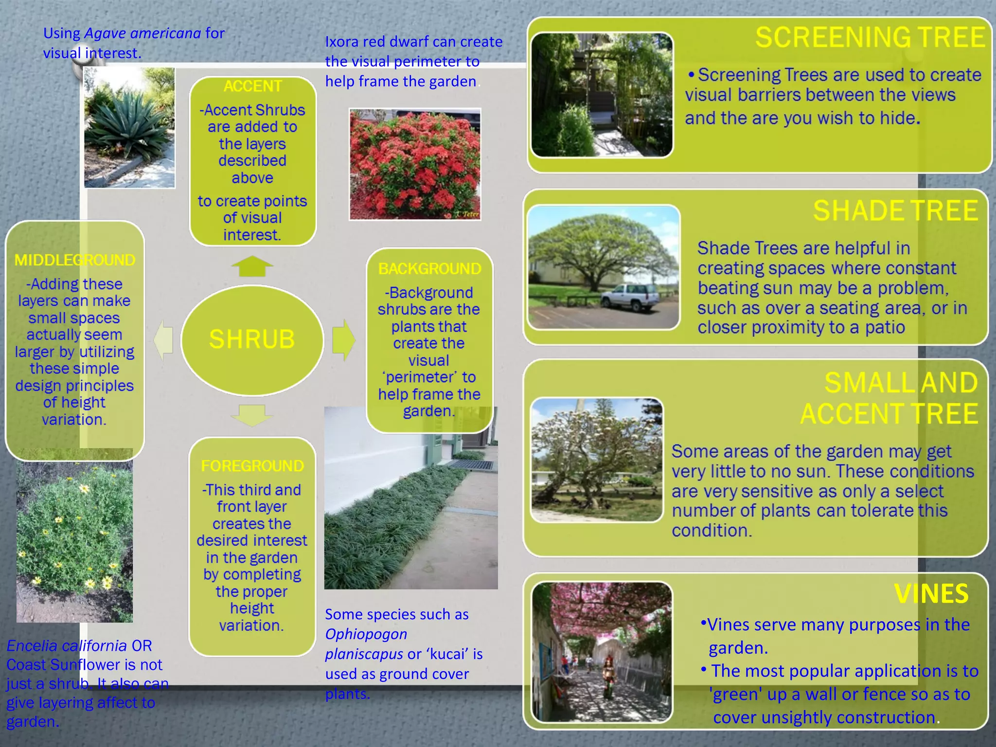 lecture 4 : types of planting design | PPT