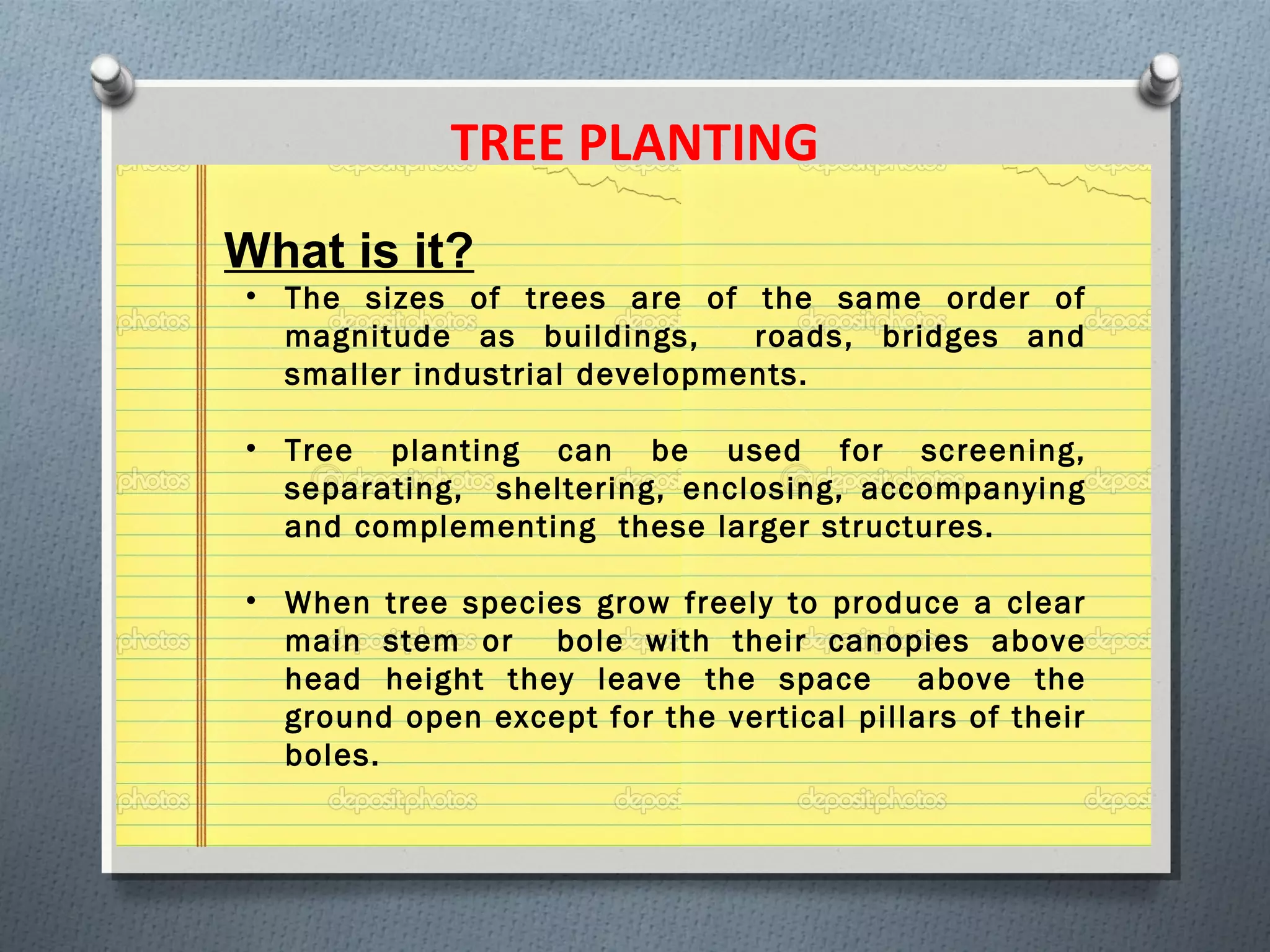 lecture 4 : types of planting design | PPT