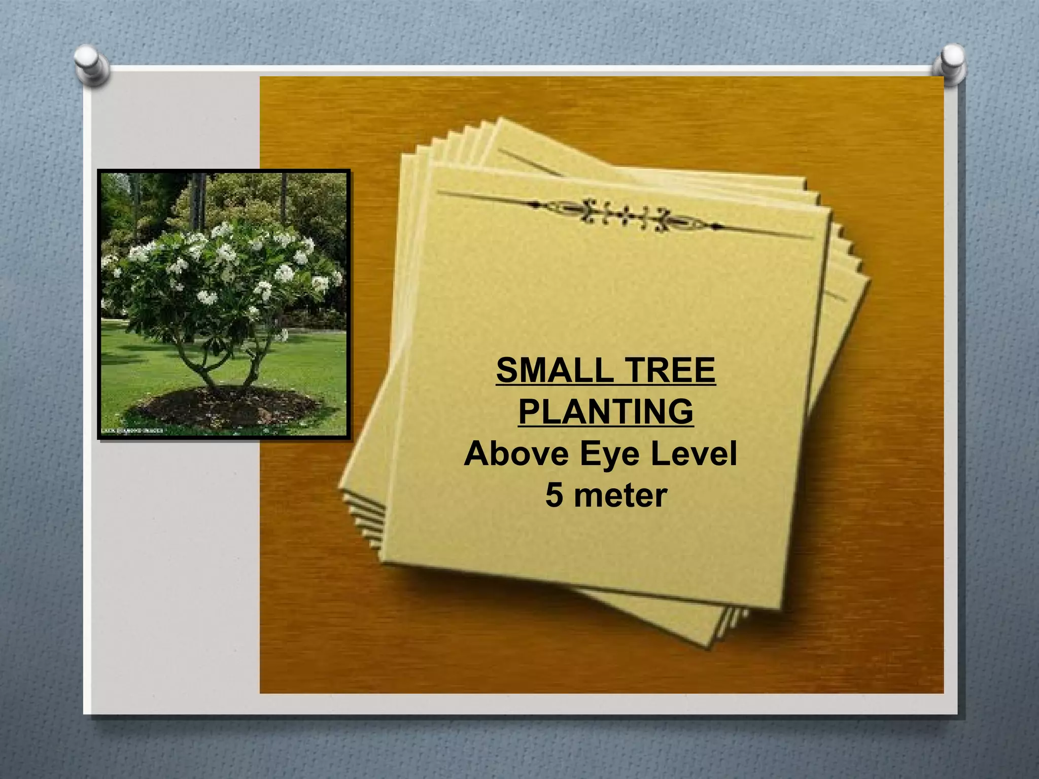 lecture 4 : types of planting design | PPT