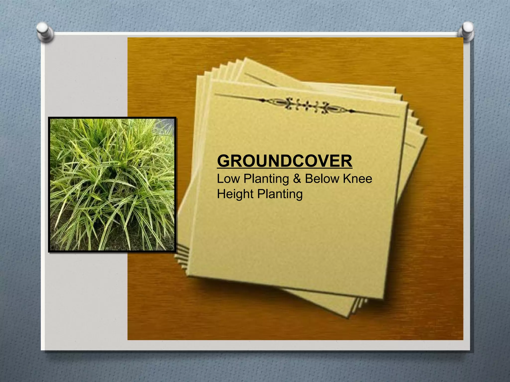 lecture 4 : types of planting design | PPT