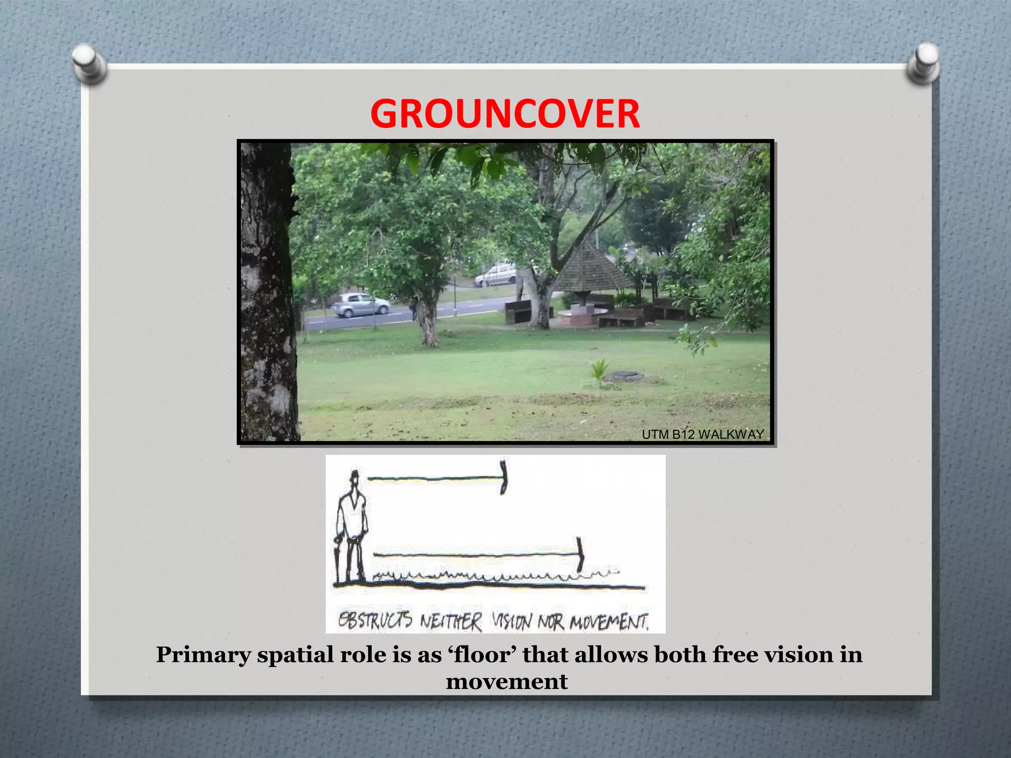 lecture 4 : types of planting design | PPT | Gardening | Home & Garden