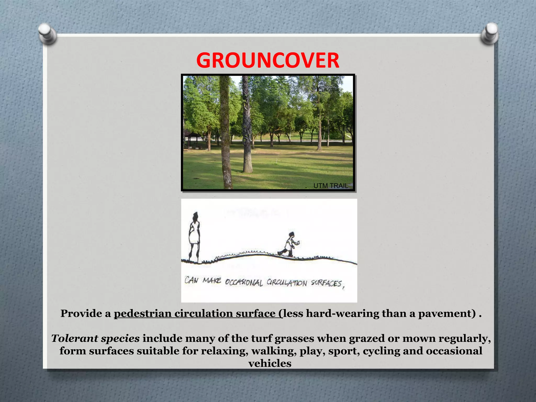 lecture 4 : types of planting design | PPT | Gardening | Home & Garden