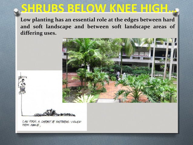 lecture 4 : types of planting design | PPT | Gardening | Home & Garden