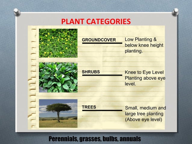 lecture 4 : types of planting design | PPT | Gardening | Home & Garden