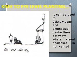 lecture 4 : types of planting design | PPT