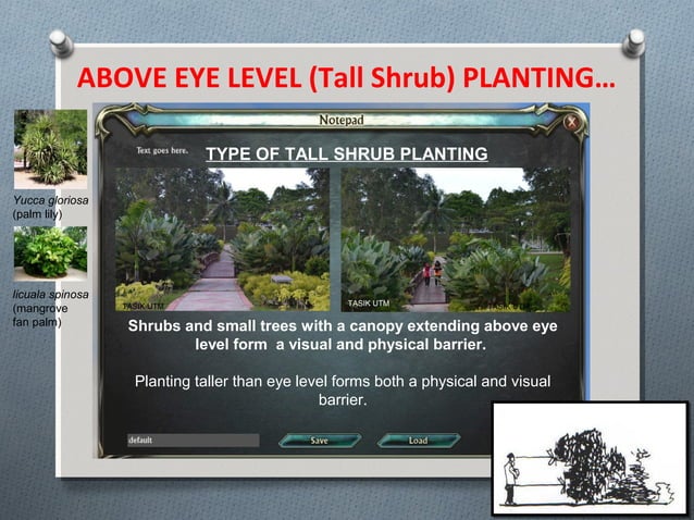 lecture 4 : types of planting design | PPT | Gardening | Home & Garden