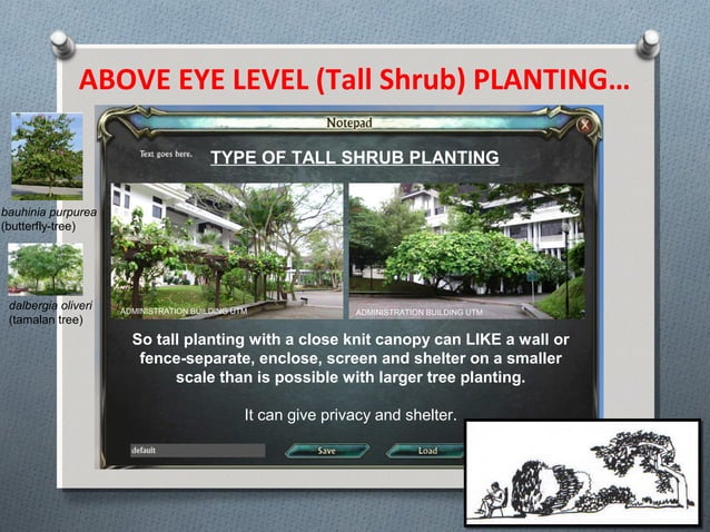 lecture 4 : types of planting design | PPT | Gardening | Home & Garden