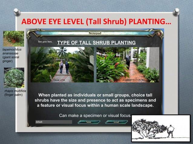 lecture 4 : types of planting design | PPT | Gardening | Home & Garden
