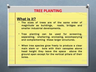 lecture 4 : types of planting design | PPT