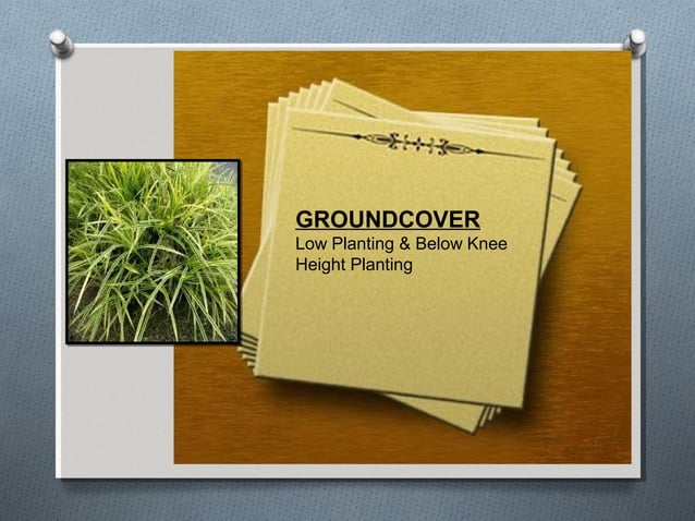 lecture 4 : types of planting design | PPT | Gardening | Home & Garden