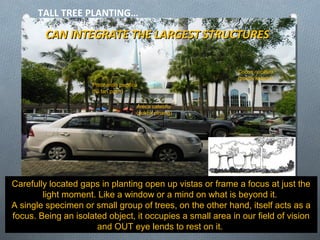 lecture 4 : types of planting design | PPT