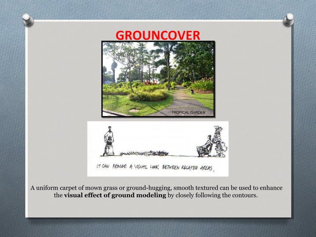 lecture 4 : types of planting design | PPT | Gardening | Home & Garden