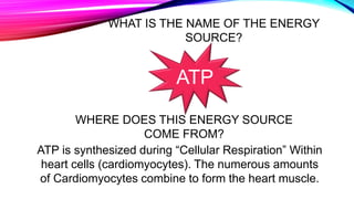 ATP & The Heart (Application of Electrocemistry Principle) | PPT