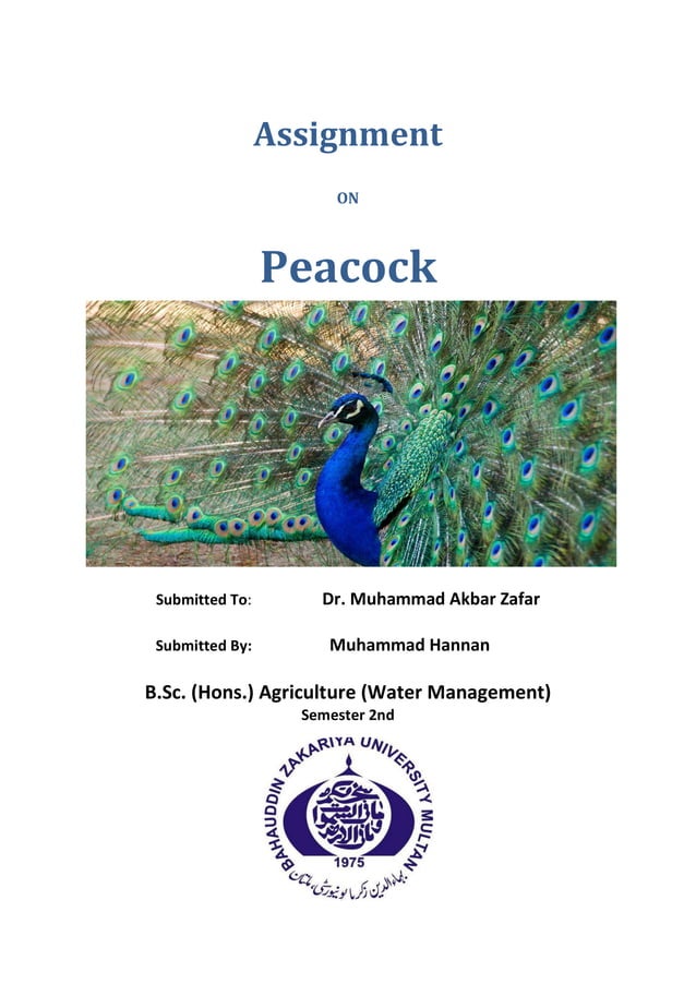 Peacock | PDF