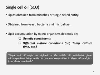 Biodiesel production from oleaginous microorganisms | PDF
