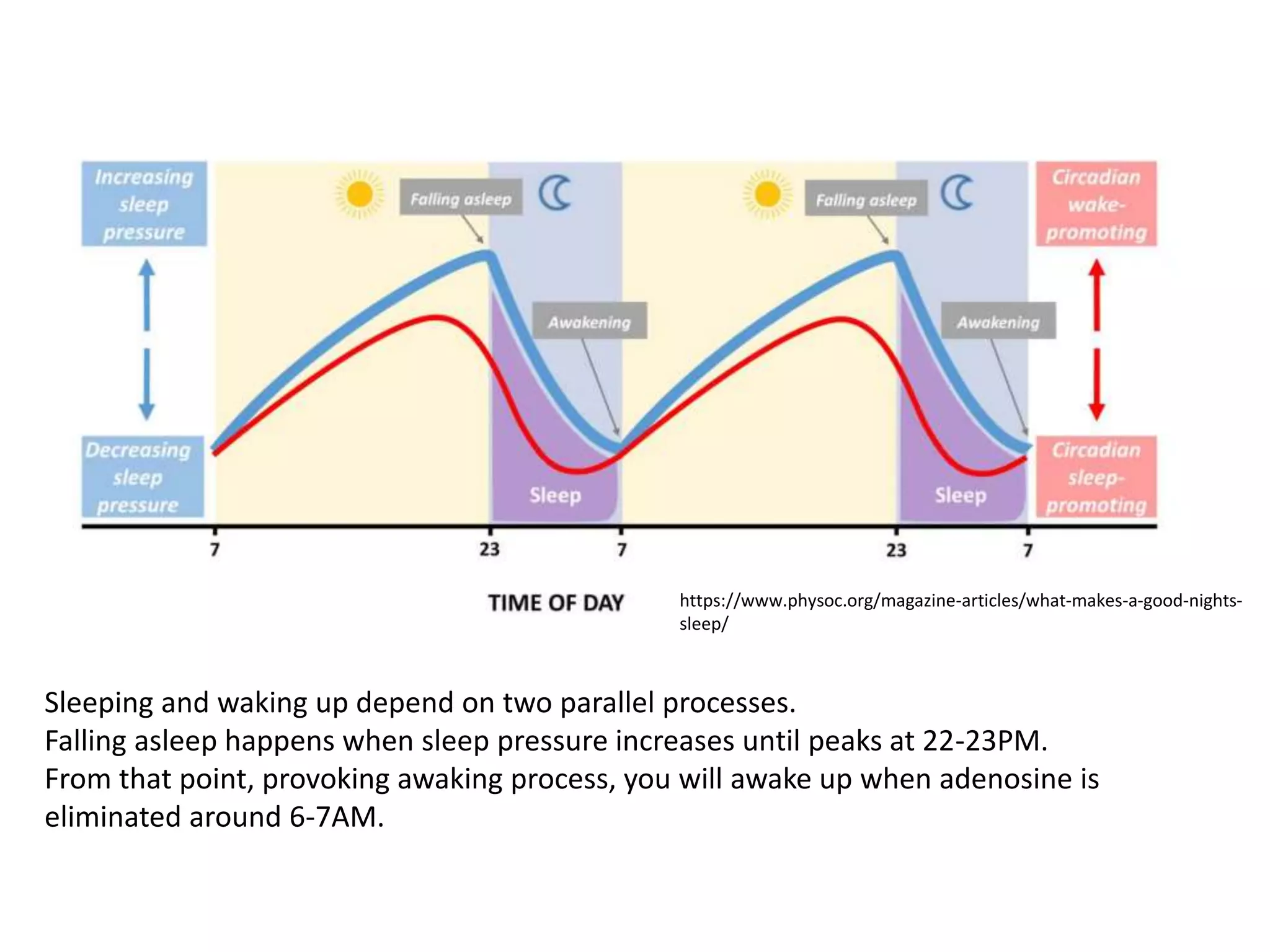 Sleep and Jet lag | PPTX