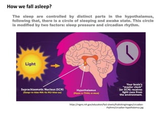 Sleep and Jet lag | PPTX
