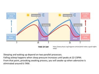 Sleep and Jet lag | PPTX
