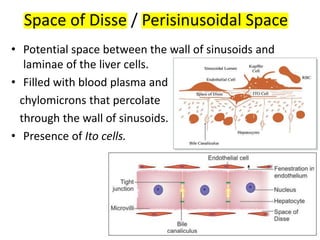 assigment Histology (B3)-Reduced-Reduced.pdf