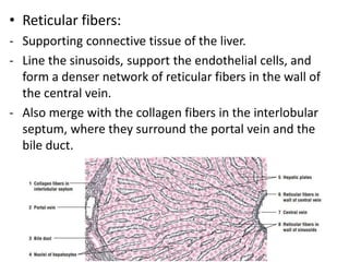 assigment Histology (B3)-Reduced-Reduced.pdf