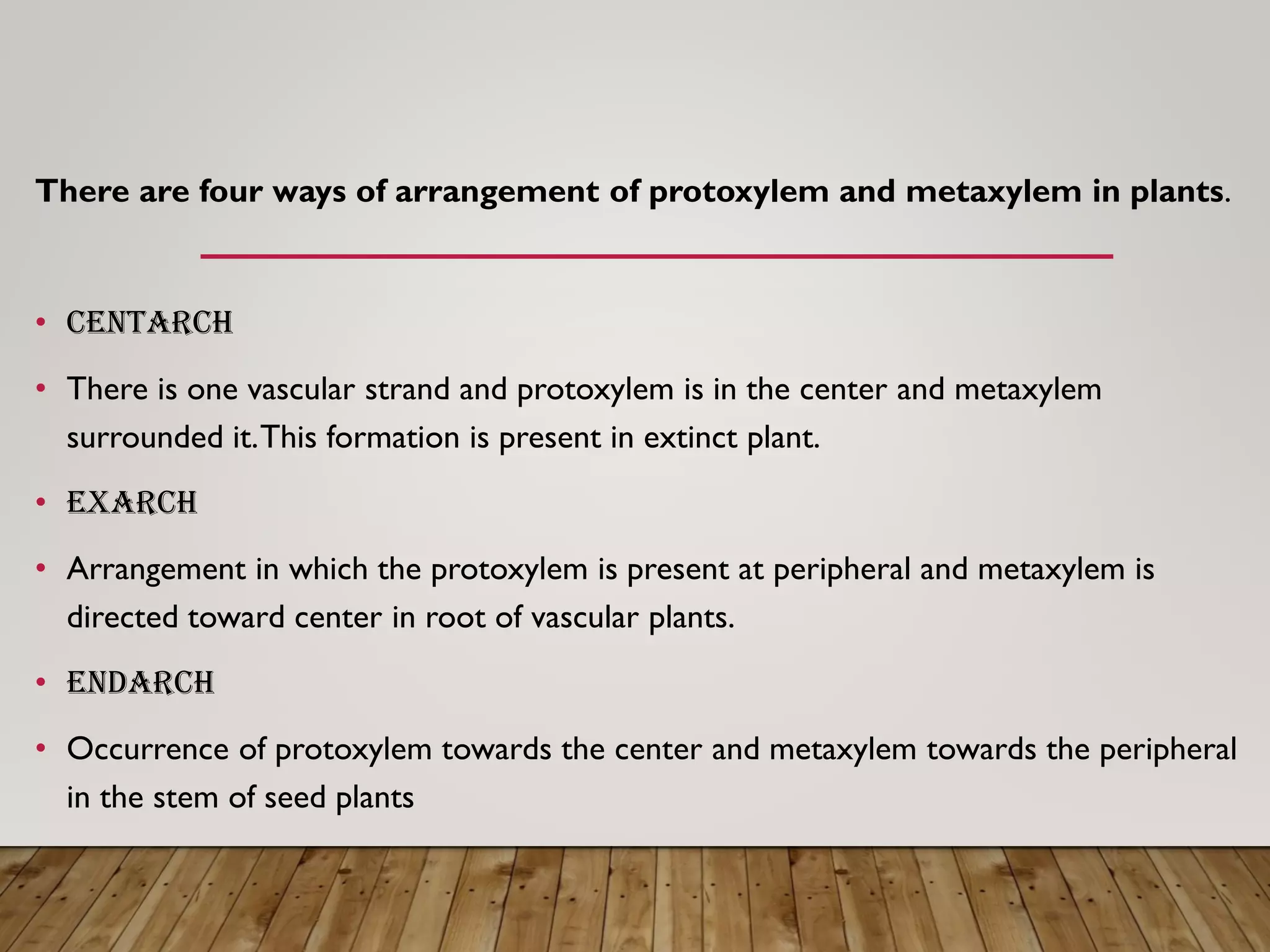 vascular tissue and its relation between primary and secondary tissue | PDF